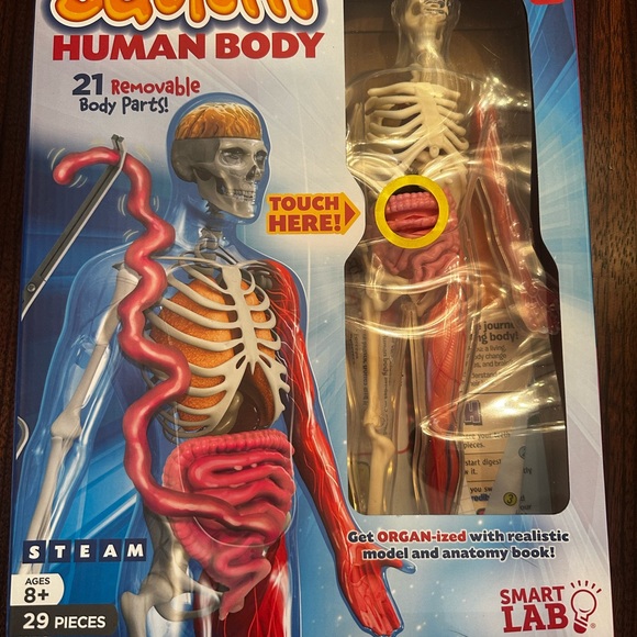smart lab | Toys | Squishy Human Body Anatomy Model | Poshmark